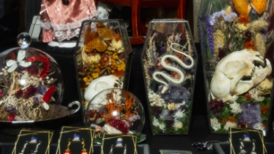 Florida Oddities Market